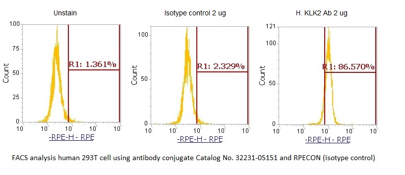 Human Kallikrein-2 (KLK2) AssayLite Antibody (RPE Conjugate) - Assaypro
