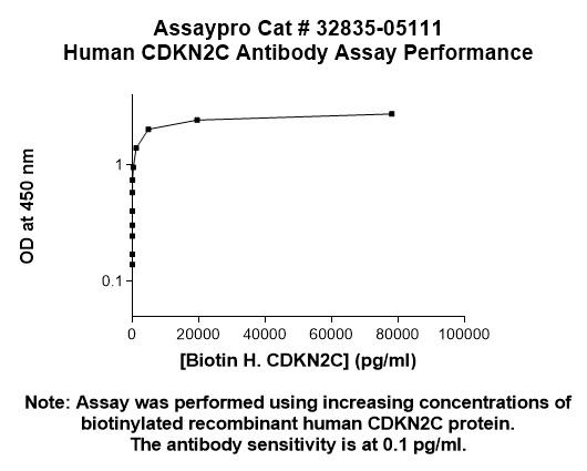 Human CDKN2C Antibody - Assaypro