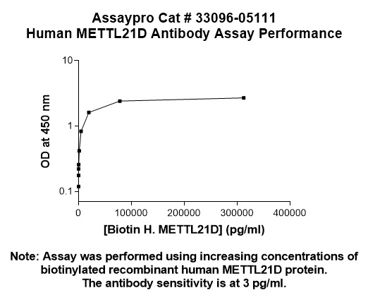 Human METTL21D Antibody - Assaypro