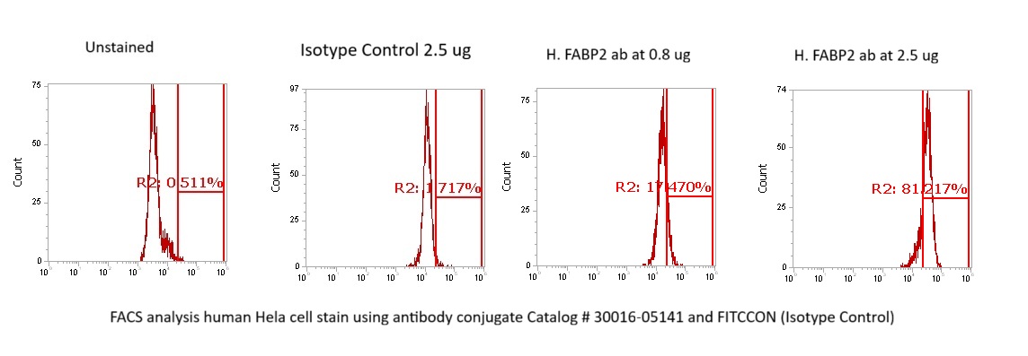 Human Fatty Acid-Binding Protein 2 (FABP2) AssayLite Antibody (FITC Conjugate) - Assaypro
